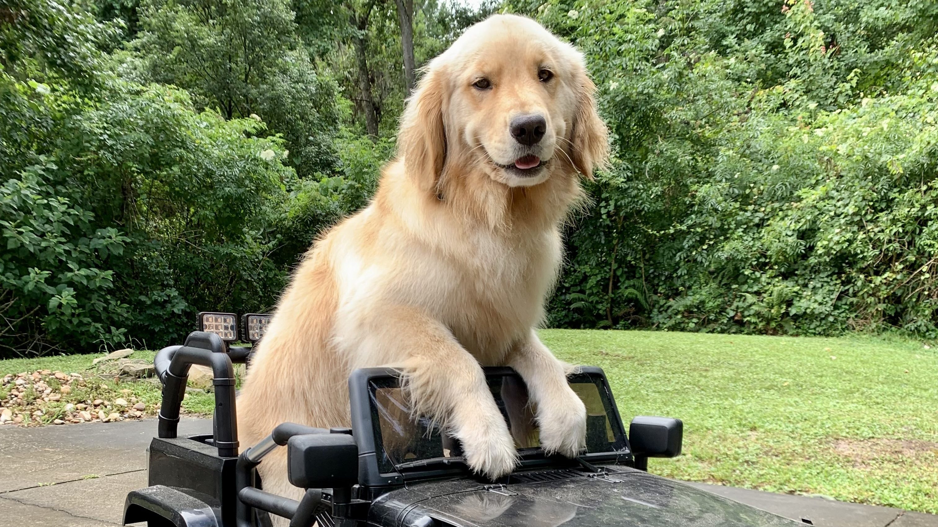 About – Robin & Willow